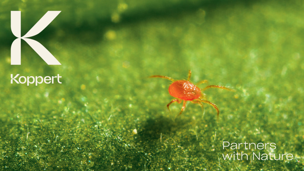 Koppert lanza nueva imagen de marca inspirada en la Naturaleza – AgroDifusión