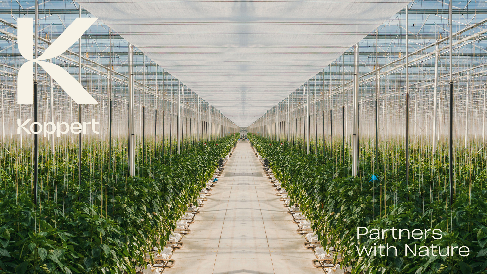 Koppert lanza nueva imagen de marca inspirada en la Naturaleza – AgroDifusión